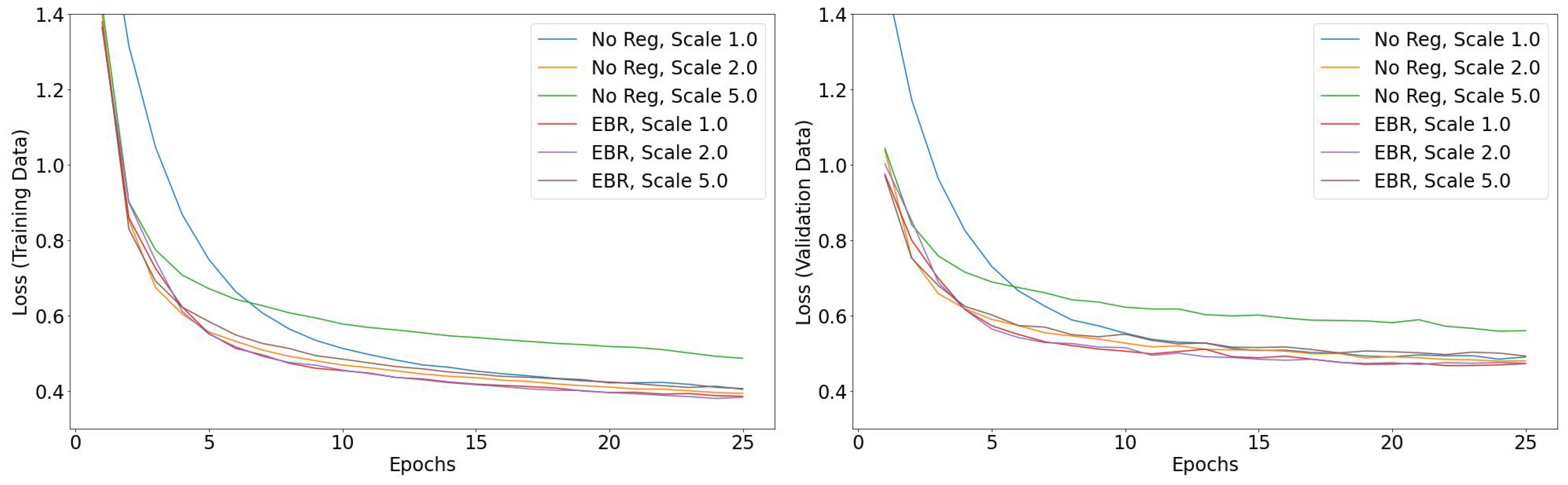 Evidence-Based Regularization for Neural Networks