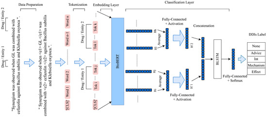 Drug-Drug Interaction Extraction from Biomedical Text Using Relation BioBERT with BLSTM