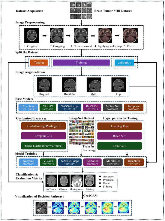 Empowering Brain Tumor Diagnosis through Explainable Deep Learning