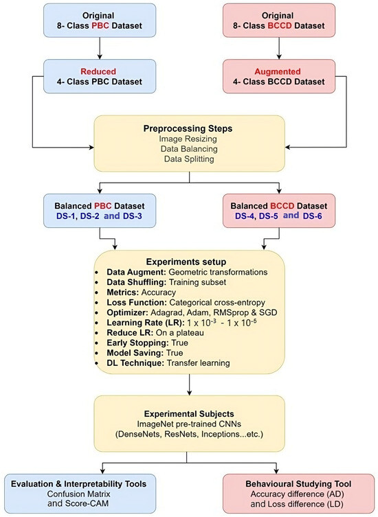 Towards Self-Conscious AI Using Deep ImageNet Models: Application for ...