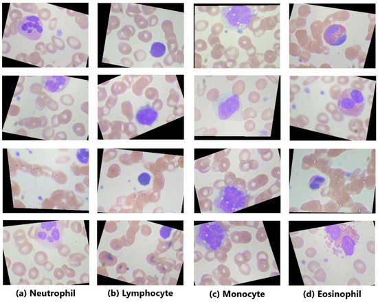 Towards Self-Conscious AI Using Deep ImageNet Models: Application for ...