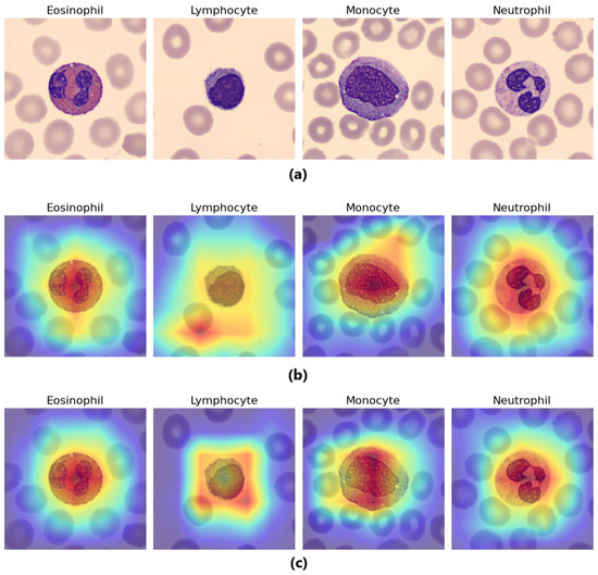 Towards Self-Conscious AI Using Deep ImageNet Models: Application for ...