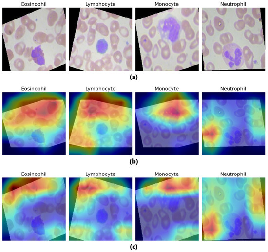 Towards Self-Conscious AI Using Deep ImageNet Models: Application for ...