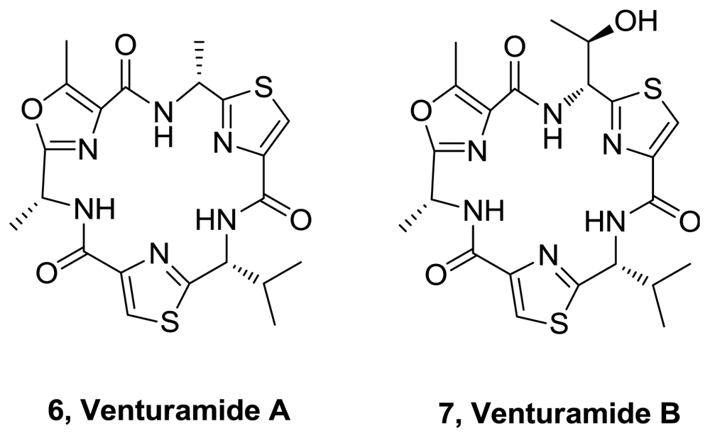 Thiazole and Oxazole Alkaloids: Isolation and Synthesis