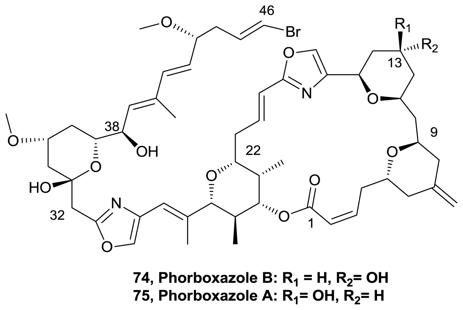 Marine Drugs Free Full Text Thiazole And Oxazole Alkaloids