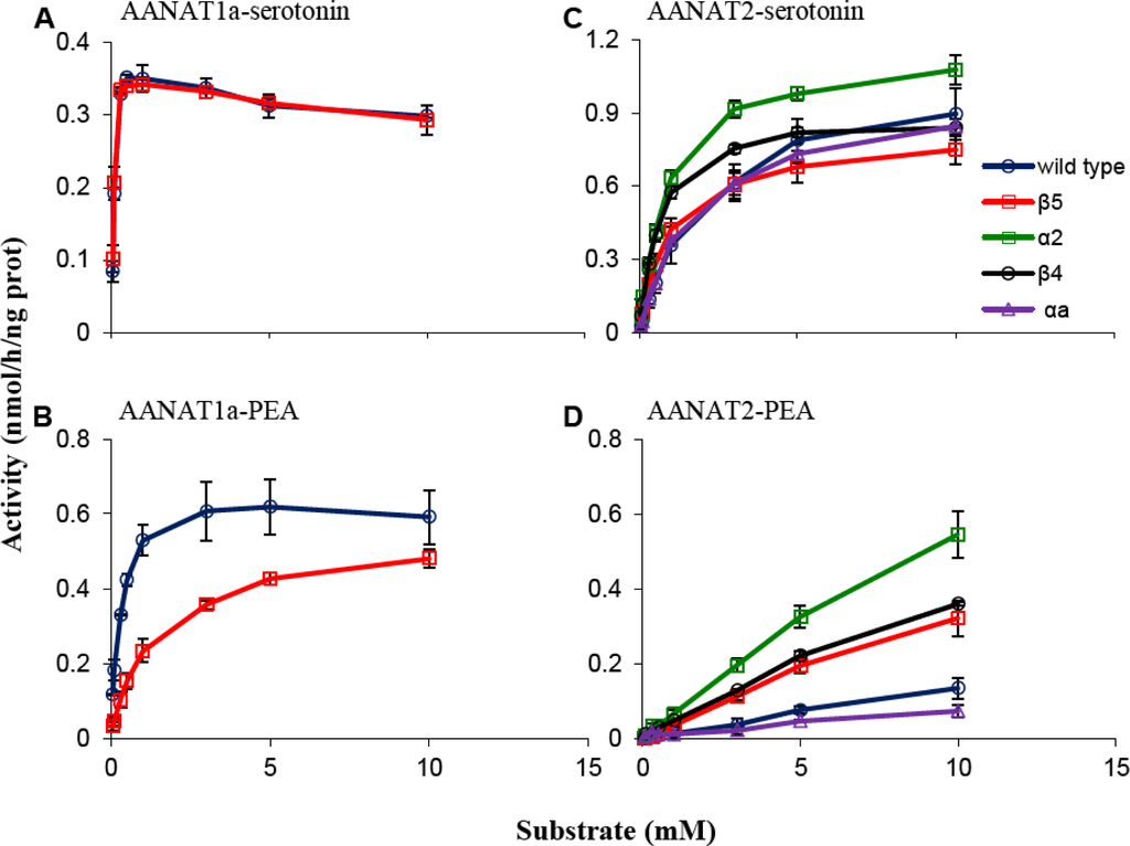 Molecular Evolution of Multiple Arylalkylamine N-Acetyltransferase ...