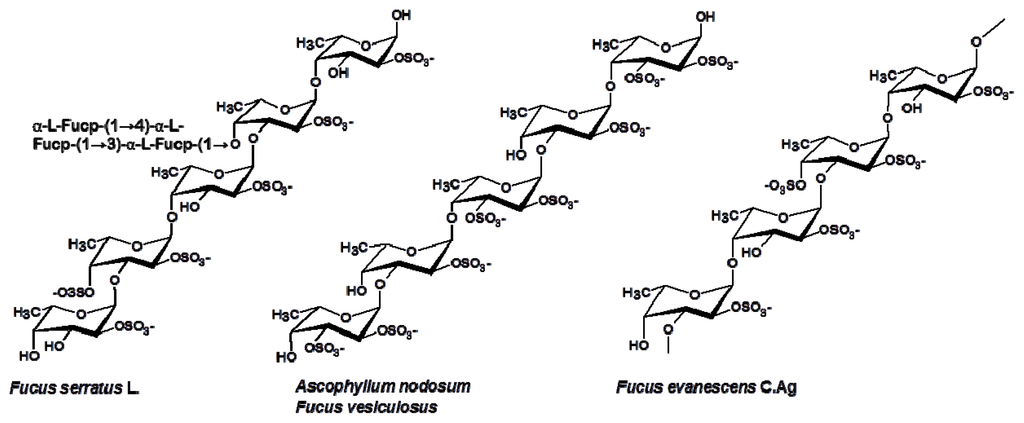 Marine Drugs | Free Full-Text | Important Determinants for Fucoidan ...
