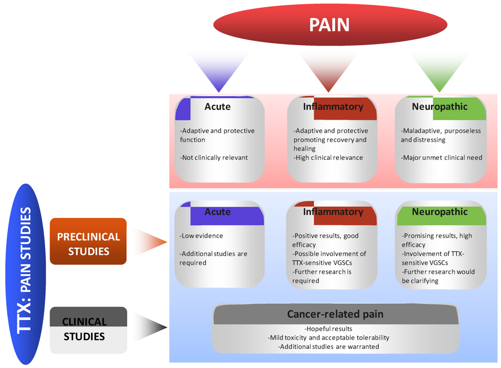 Tetrodotoxin (TTX) as a Therapeutic Agent for Pain