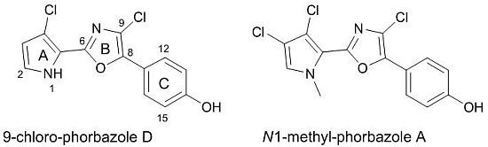 Marine Drugs | Free Full-Text | Chemistry of the Nudibranch Aldisa ...
