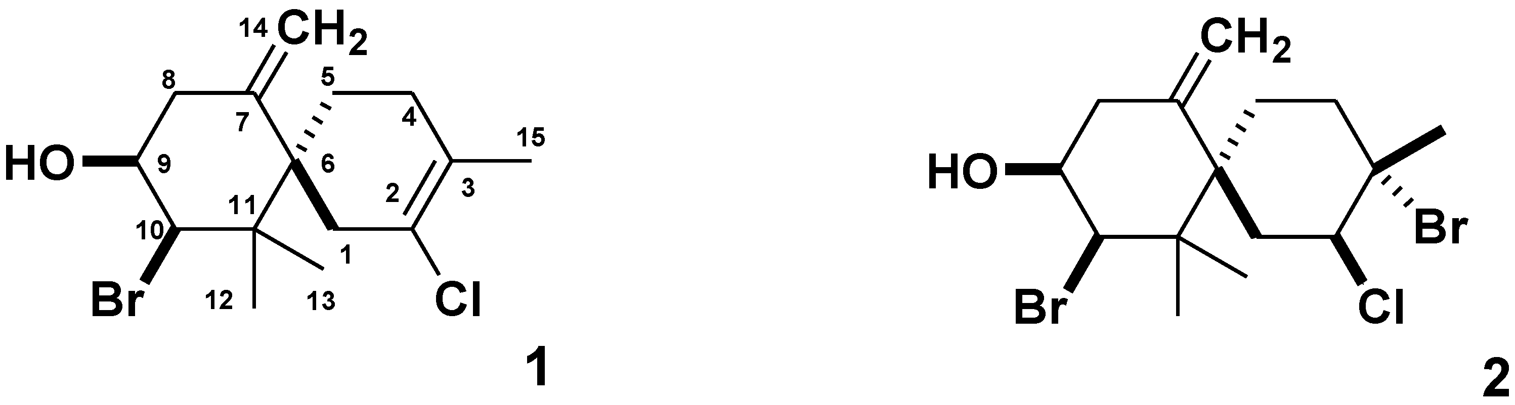 Cytotoxic Activity of Semi-Synthetic Derivatives of Elatol and Isoobtusol
