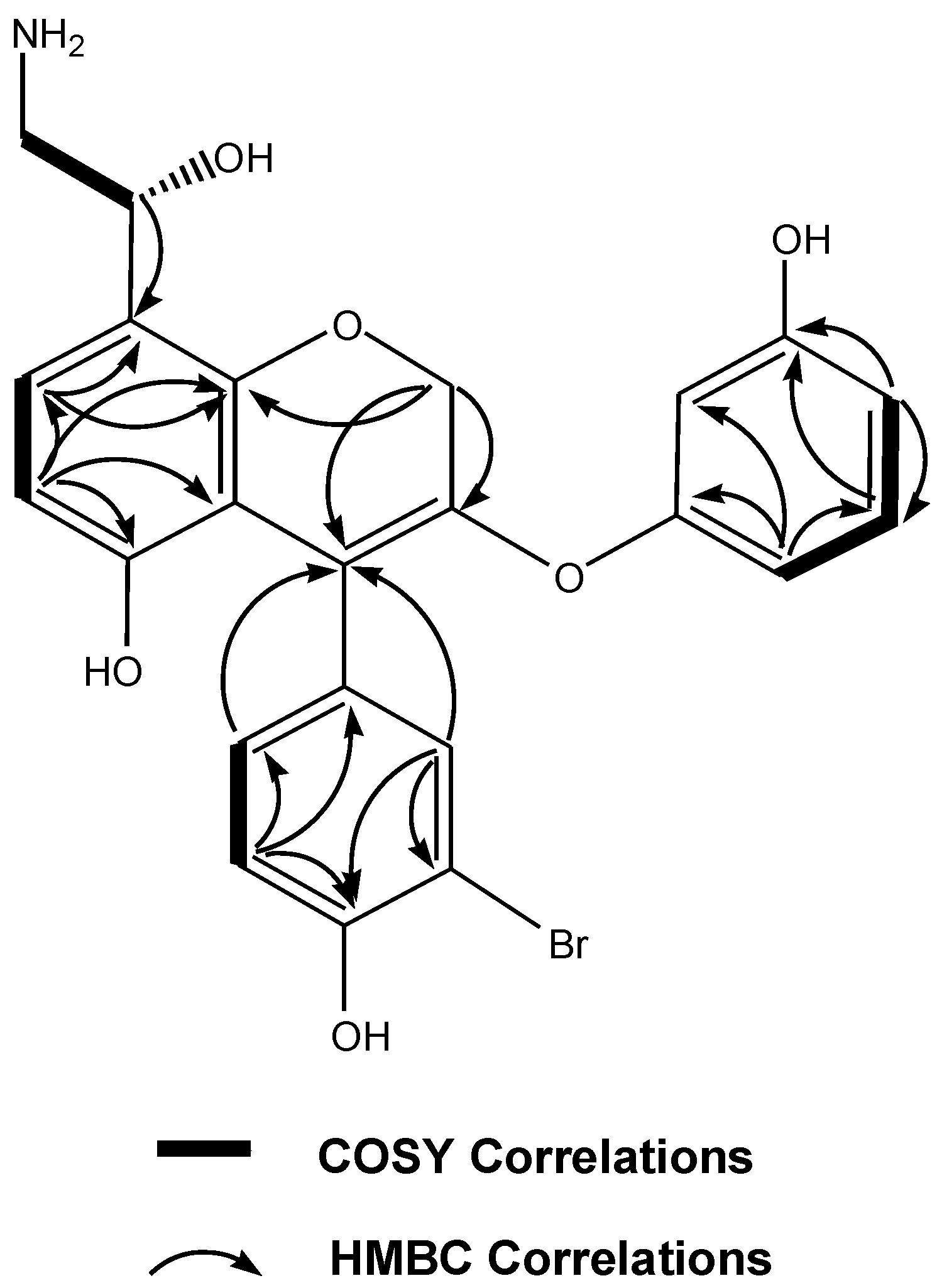 Ammonificins C and D, Hydroxyethylamine Chromene Derivatives from a ...