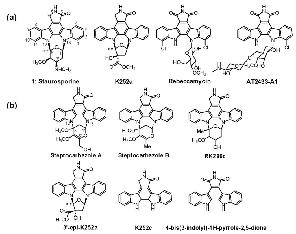 Cloning, Characterization and Heterologous Expression of the ...