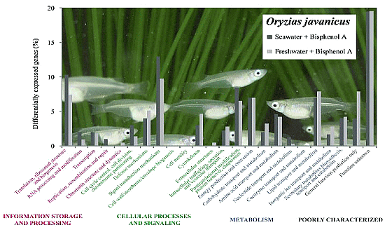 Marine Drugs | Free Full-Text | Transcriptional Changes Caused by ...