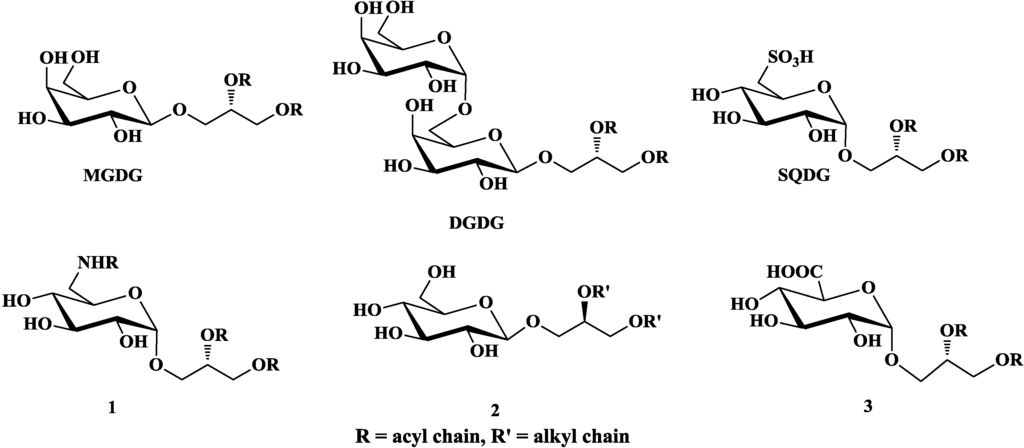 Total Synthesis and Structure-Activity Relationship of ...