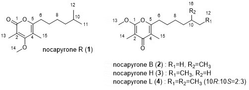 Marine Drugs | Free Full-Text | Nocapyrones: α- and γ-Pyrones from a ...