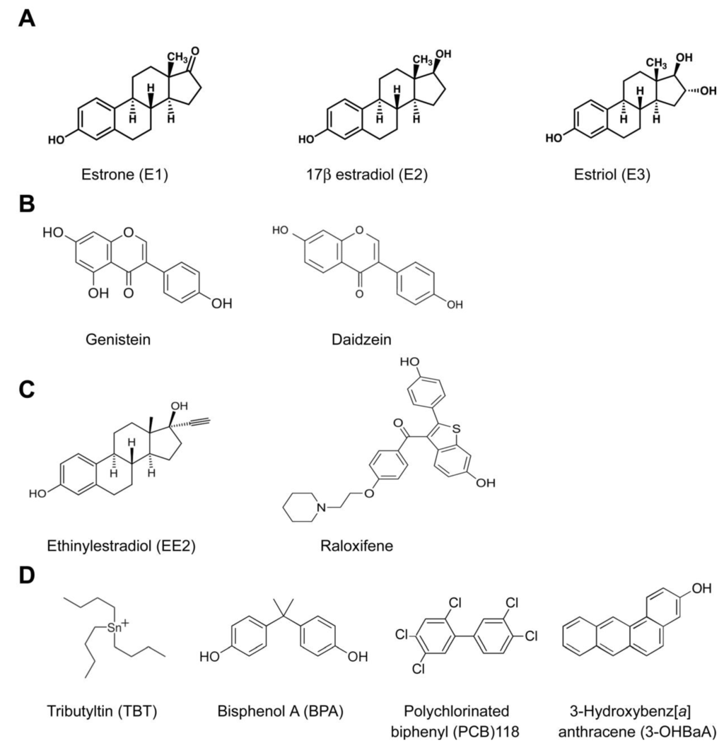 Effects of Estrogens and Estrogenic Disrupting Compounds on Fish ...