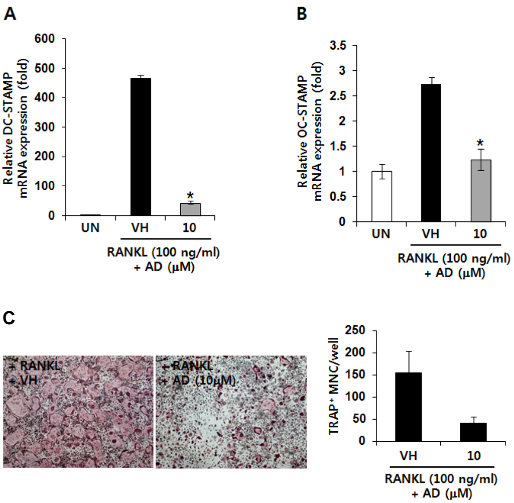 Agelasine D Suppresses RANKL-Induced Osteoclastogenesis via Down ...
