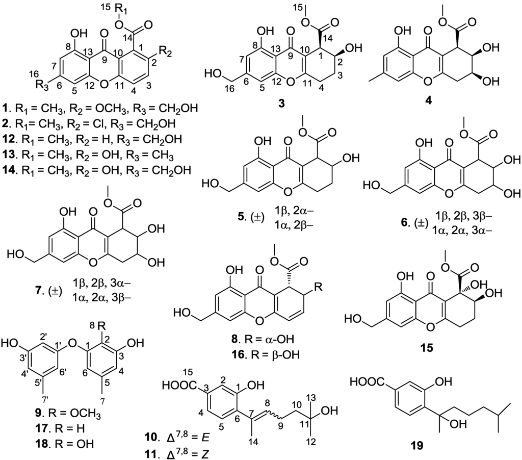 Cytotoxic Polyketides from the Deep-Sea-Derived Fungus Engyodontium ...