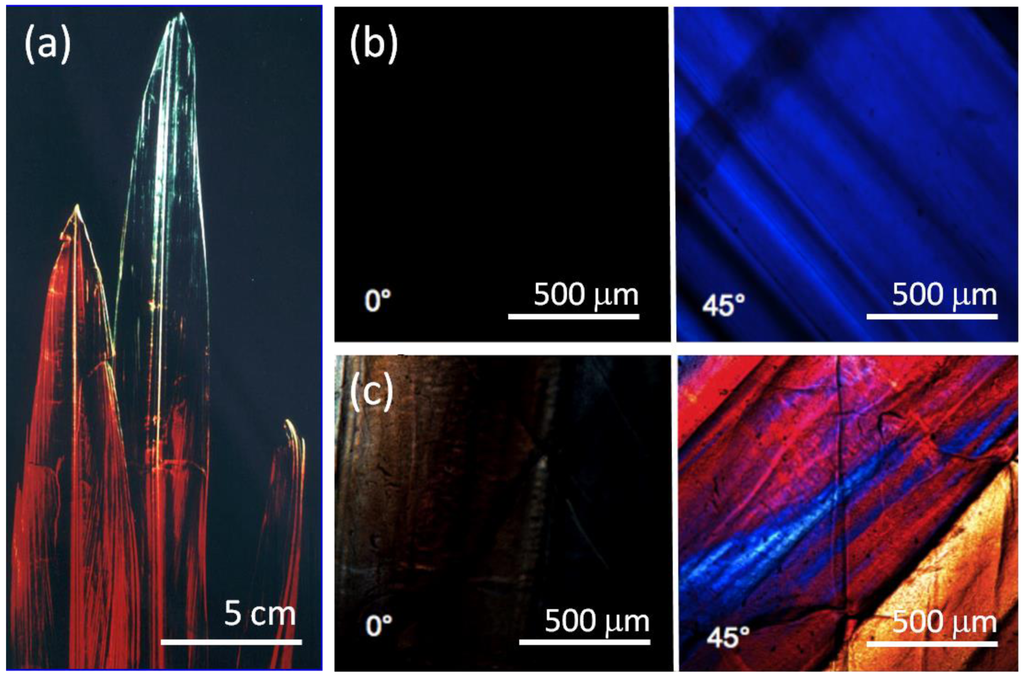 Customizing Properties of β-Chitin in Squid Pen (Gladius) by Chemical ...