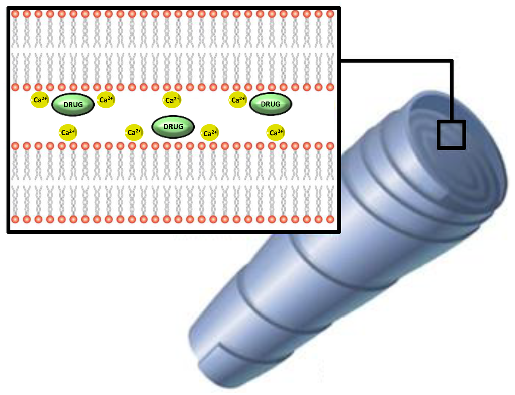 Nano- and Microdelivery Systems for Marine Bioactive Lipids
