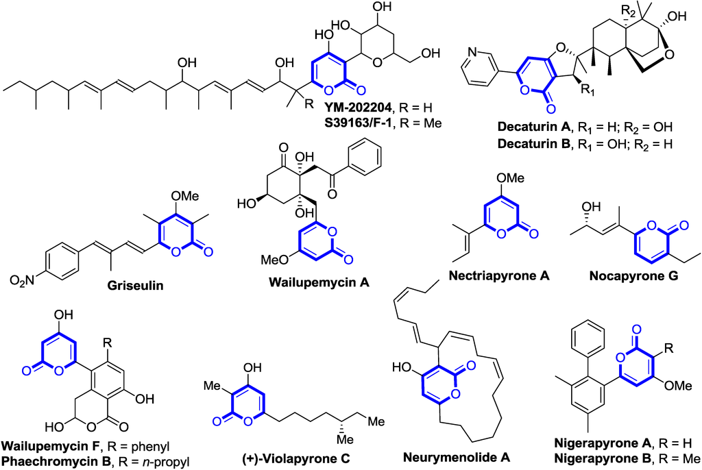 Recent Advances in the Synthesis of 2-Pyrones