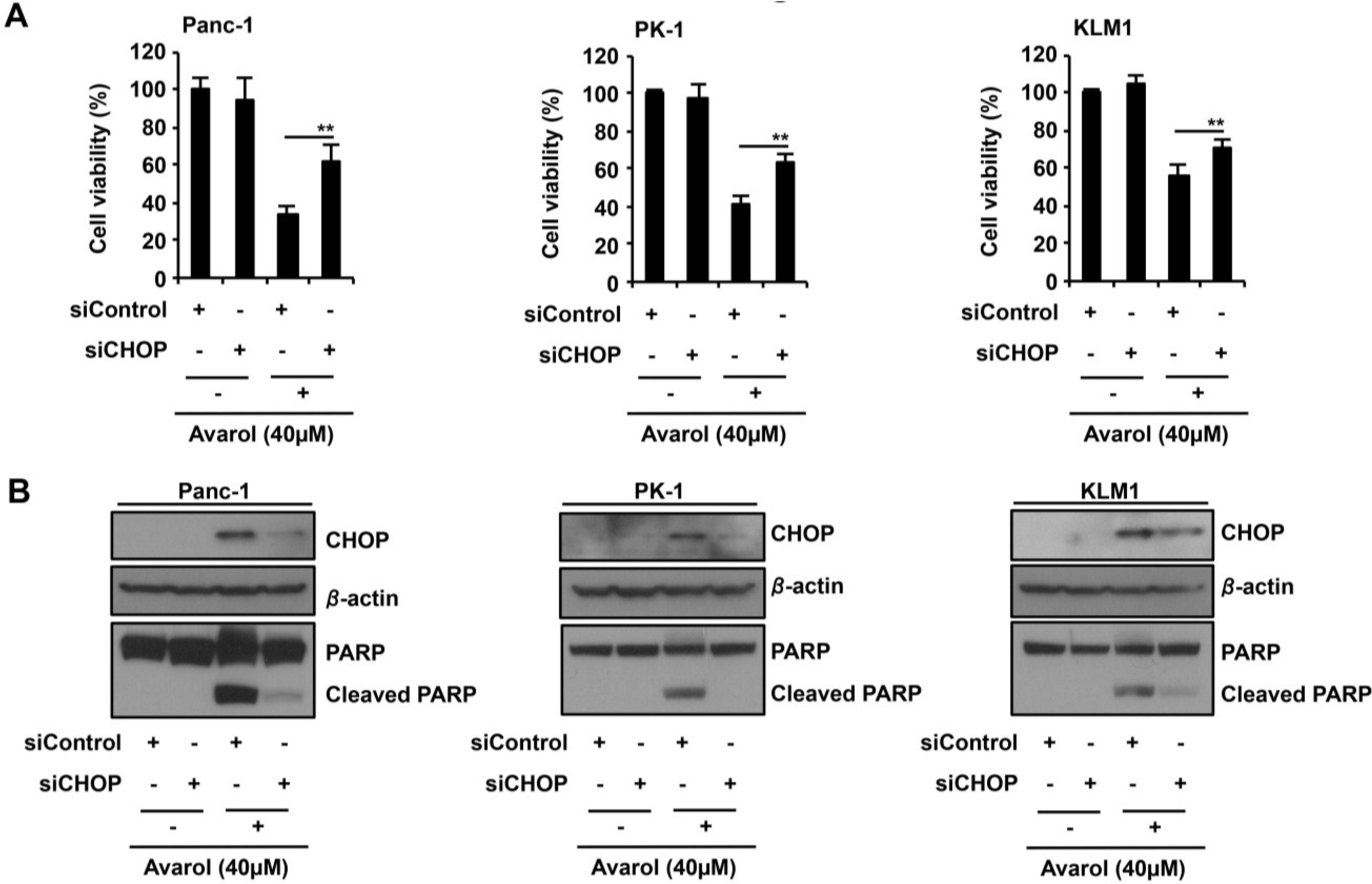 Avarol Induces Apoptosis in Pancreatic Ductal Adenocarcinoma Cells by ...