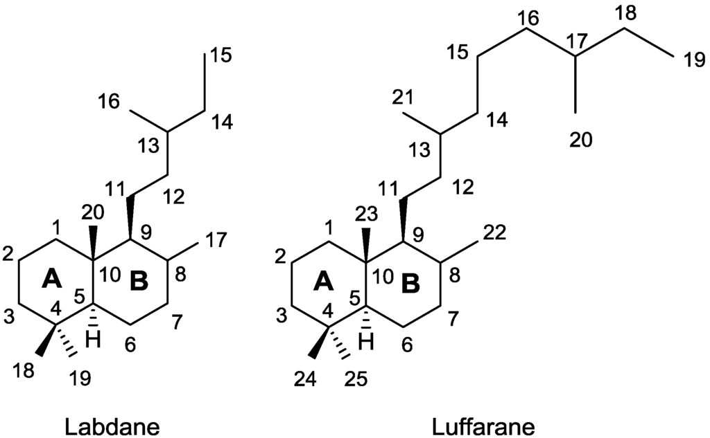 Synthesis and Bioactivity of Luffarin I