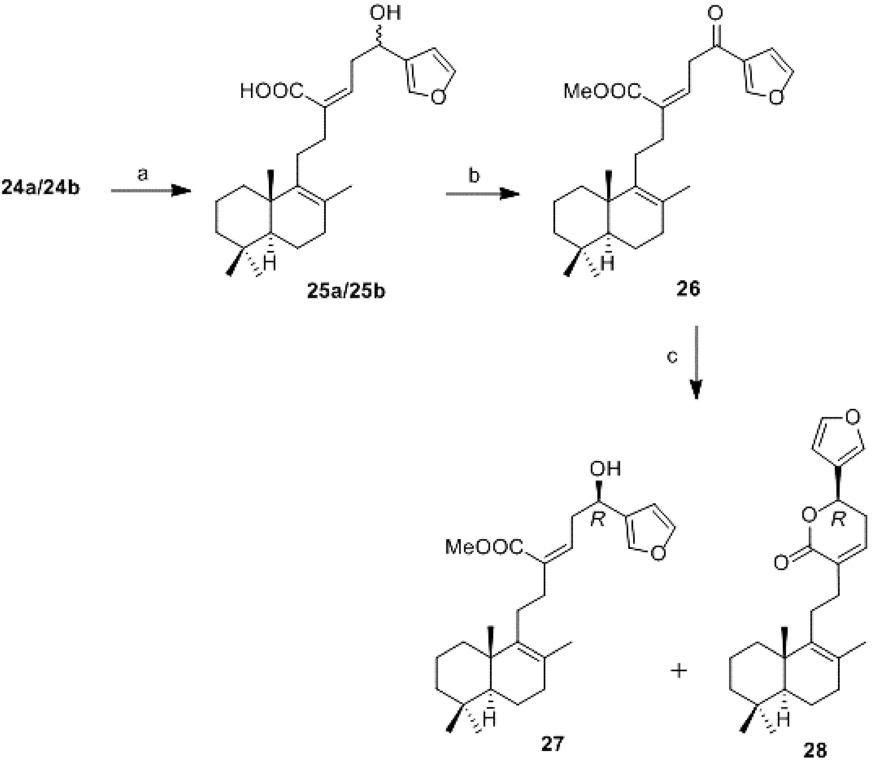 Marine Drugs Free Full Text Synthesis And Bioactivity Of Luffarin I