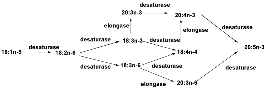 Low-Molecular-Weight Metabolites from Diatoms: Structures, Biological ...