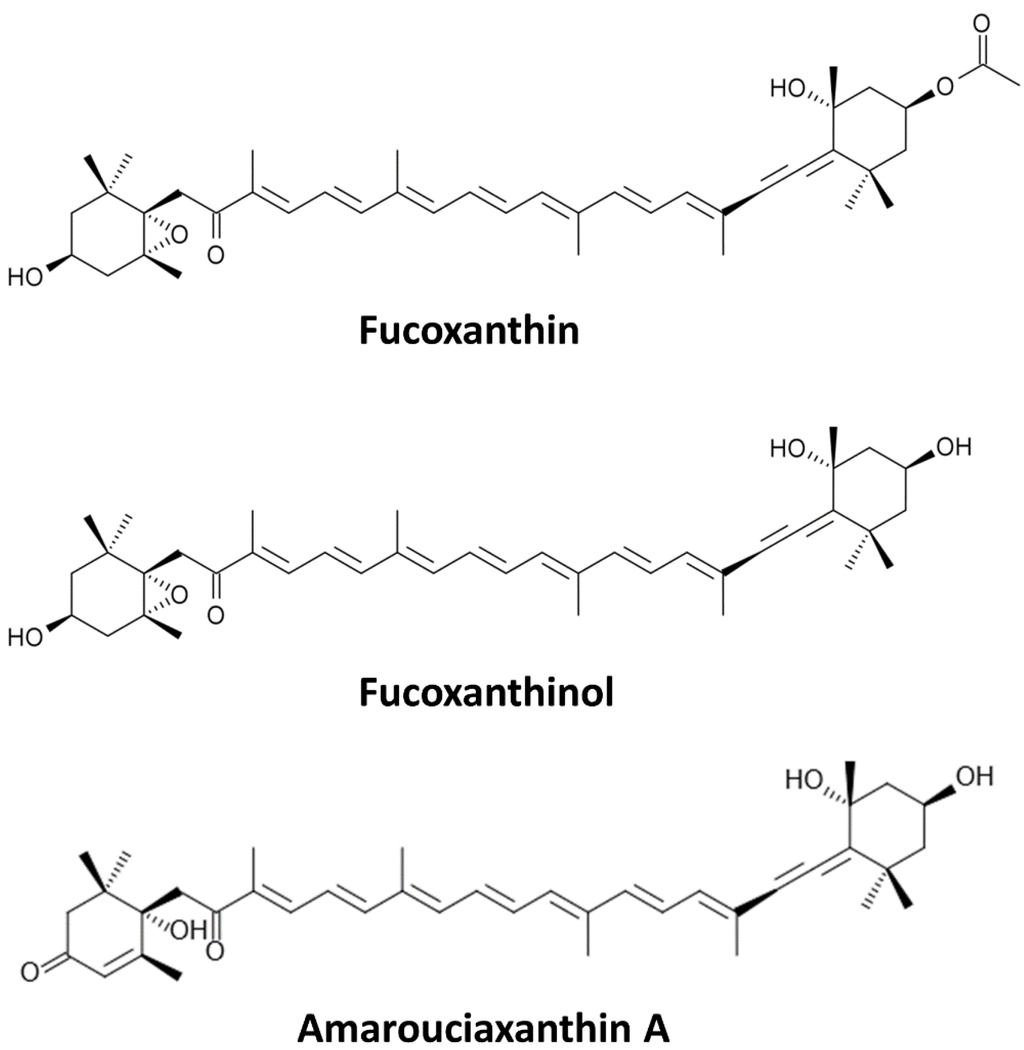 Fucoxanthin and Its Metabolite Fucoxanthinol in Cancer Prevention and ...