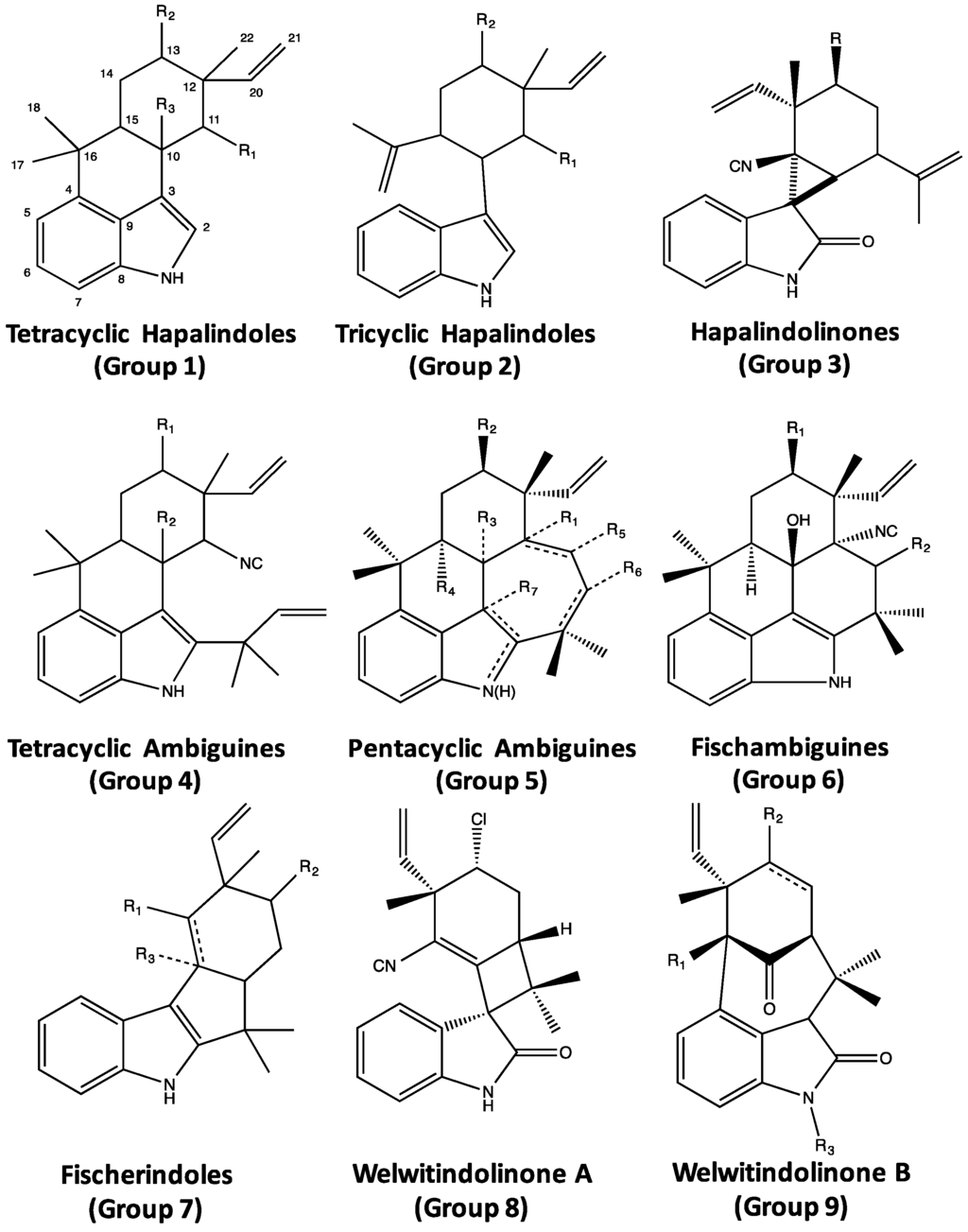 Indole Alkaloids of the Stigonematales (Cyanophyta): Chemical Diversity ...