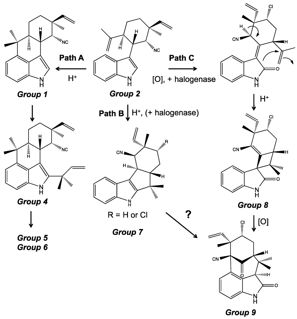 Indole Alkaloids of the Stigonematales (Cyanophyta): Chemical Diversity ...