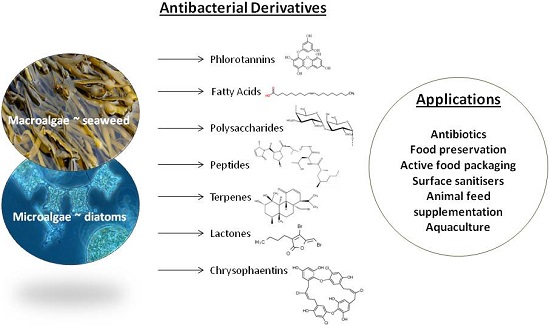 Marine Drugs Free Full Text Antibacterial Derivatives Of Marine