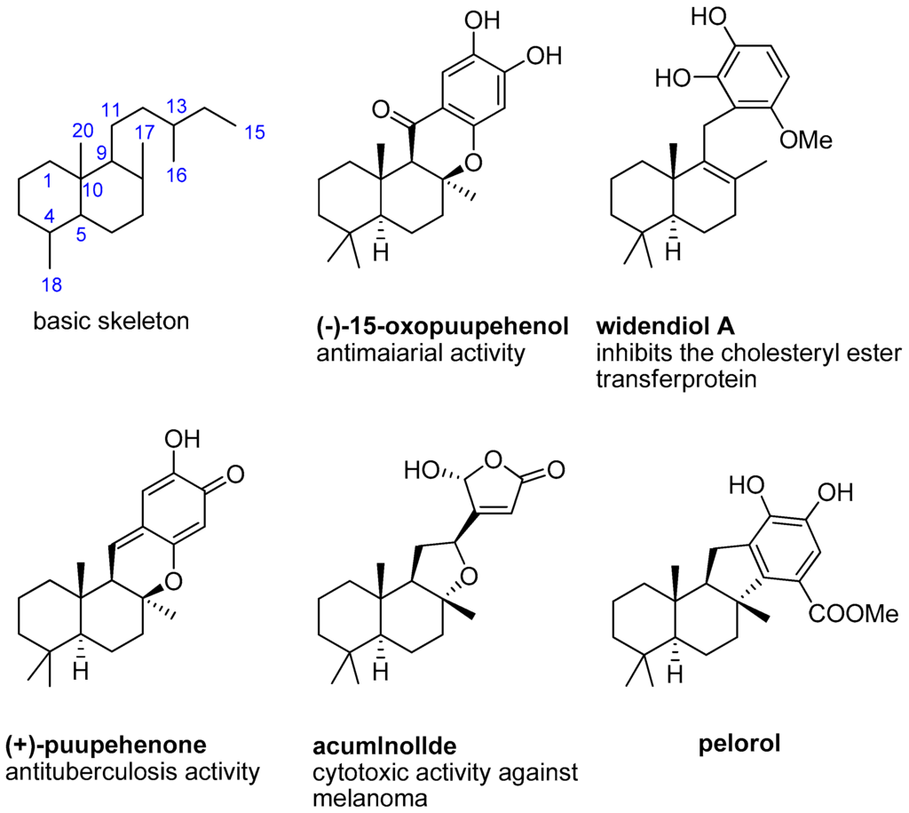 Marine Drugs Free Full Text Synthesis Of Pelorol And Its Analogs