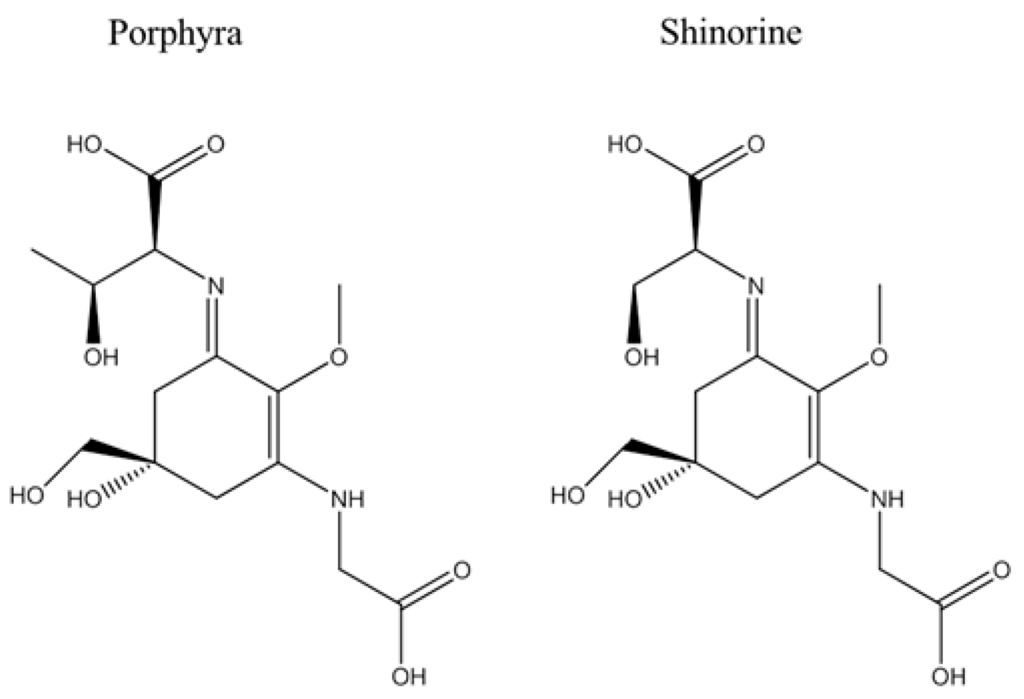 Immunomodulatory Effects of the Mycosporine-Like Amino Acids Shinorine ...