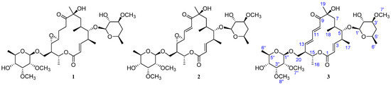Chalcomycins from Marine-Derived Streptomyces sp. and Their ...