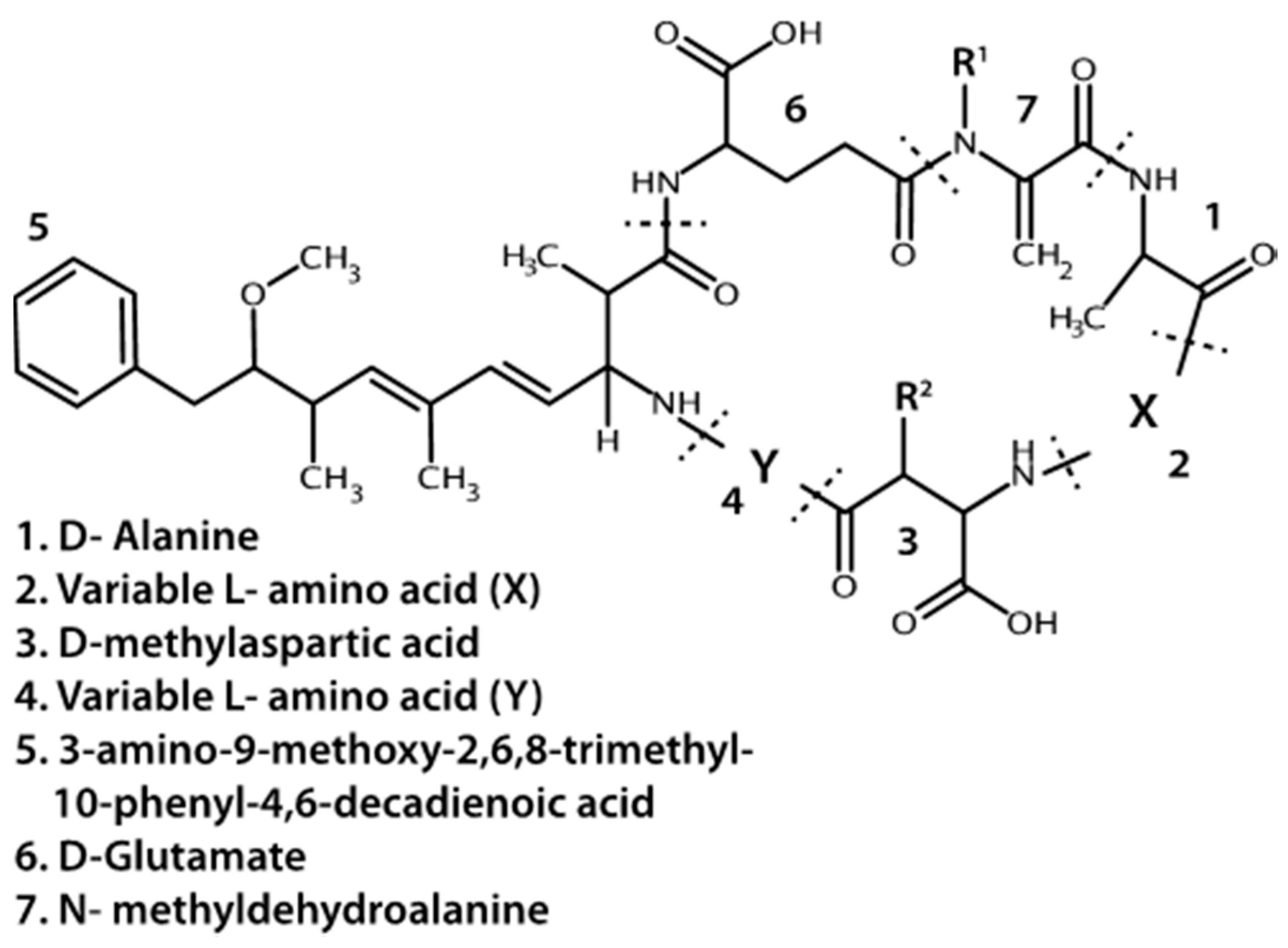 Marine Drugs Free Full Text Cyanobacterial Toxins Of The Laurentian