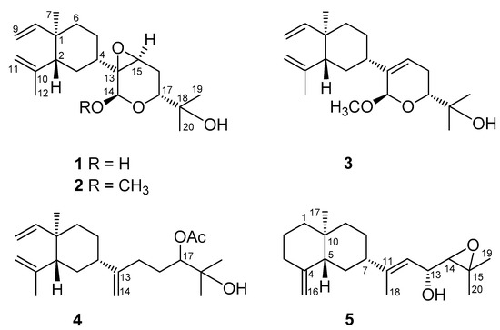 Anti-Inflammatory Lobane and Prenyleudesmane Diterpenoids from the Soft ...