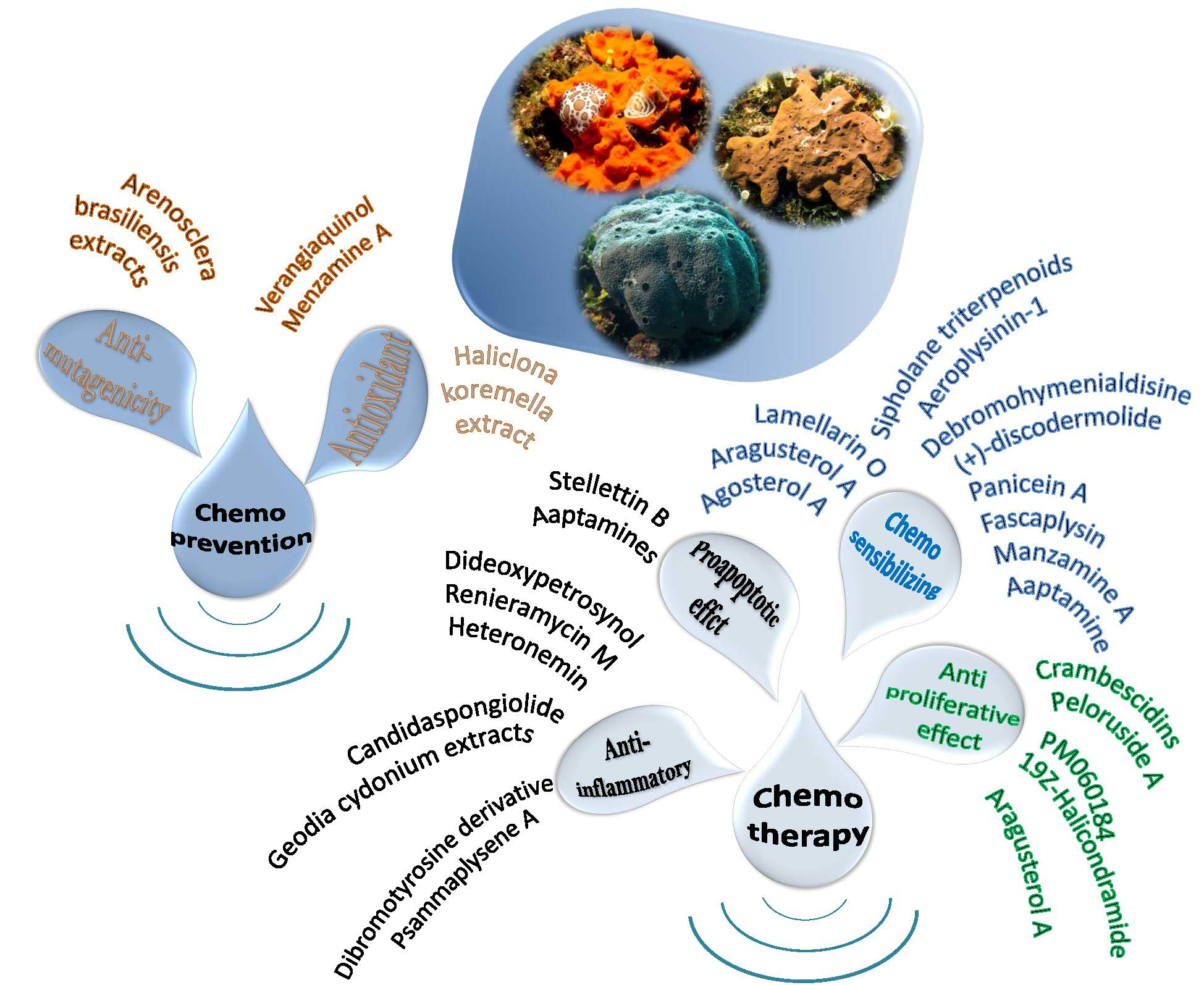 Marine Drugs | Free Full-Text | Marine Sponge Natural Products with ...