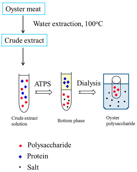Isolation and Characterization of Polysaccharides from Oysters ...