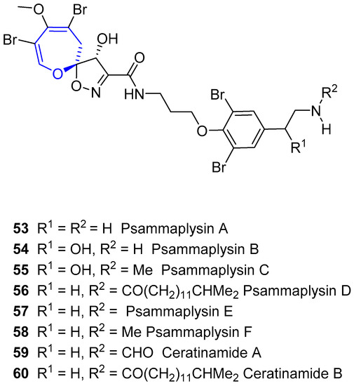 The Oxepane Motif in Marine Drugs