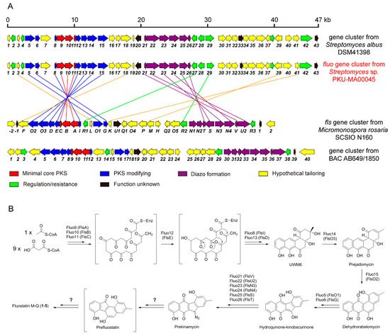 Marine Drugs | Free Full-Text | Fluostatins M–Q Featuring a 6-5-6-6 ...