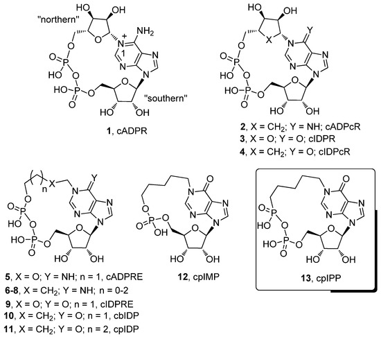 Synthesis and Biological Evaluation of a New Structural Simplified ...