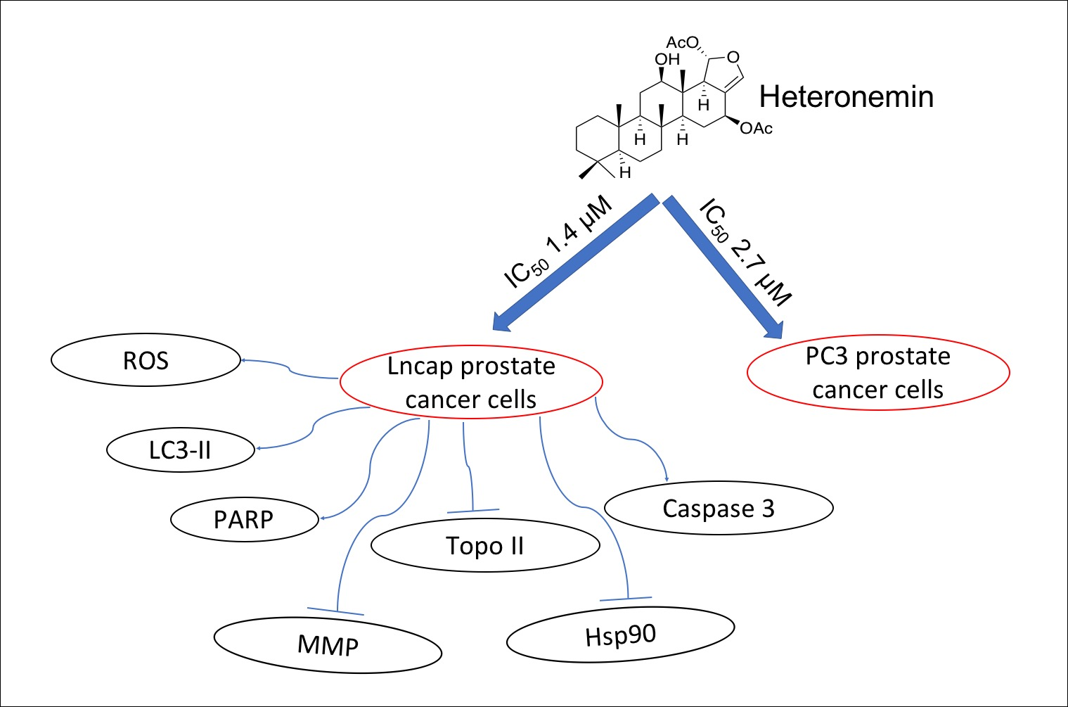 Marine Drugs | Free Full-Text | Heteronemin, a Marine Sesterterpenoid ...