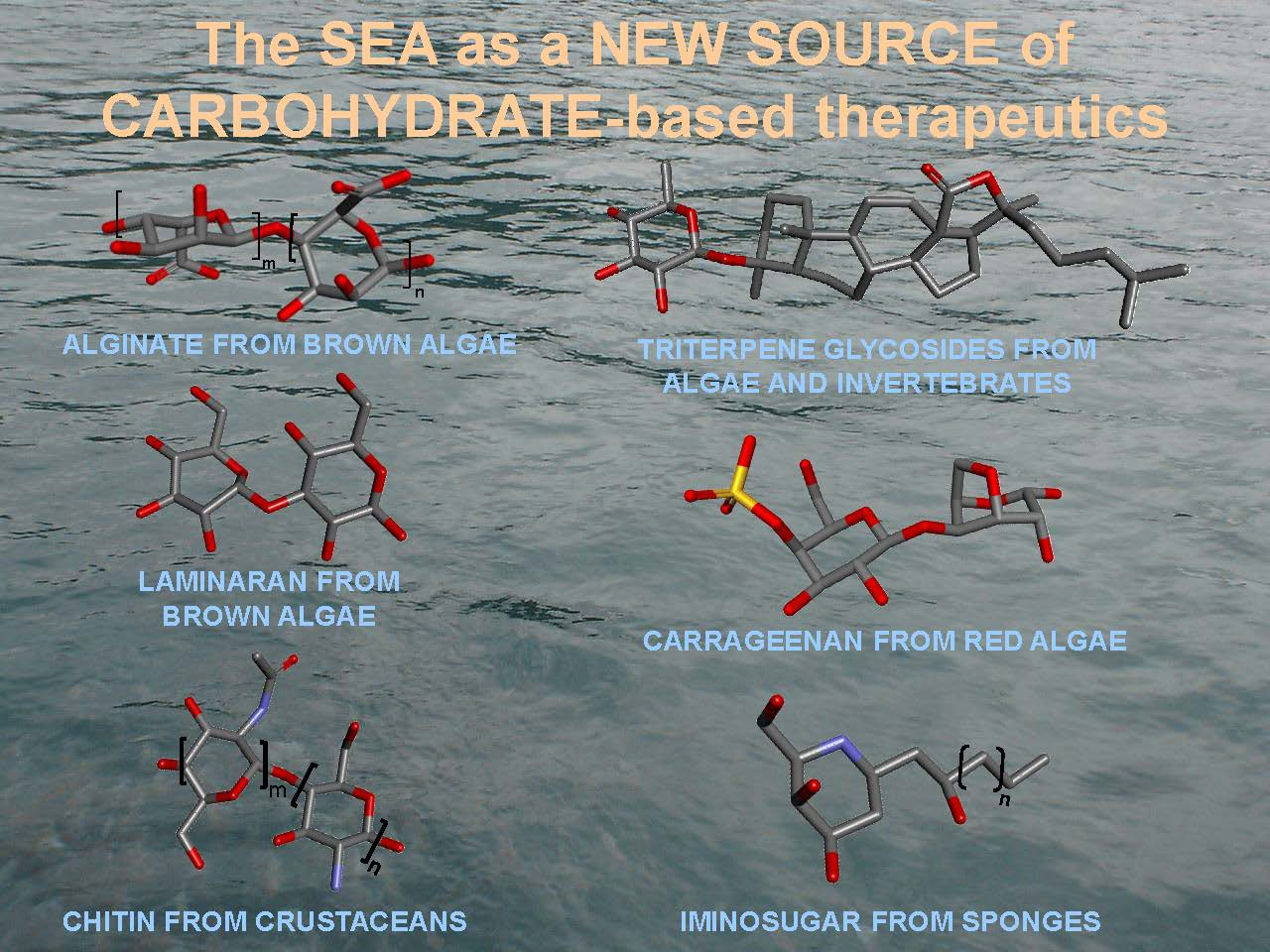Marine Drugs | Free Full-Text | Marine Carbohydrate-Based Compounds ...