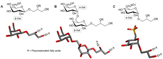 Marine Carbohydrate-Based Compounds with Medicinal Properties