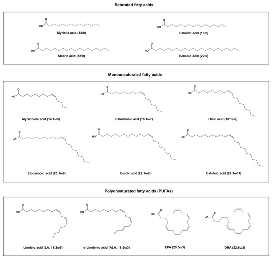 Cosmetic and Therapeutic Applications of Fish Oil’s Fatty Acids on the Skin