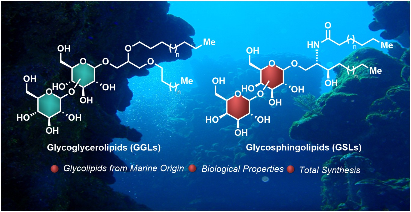 Marine Drugs Free Full Text Chemistry And Biology Of Bioactive Glycolipids Of Marine Origin