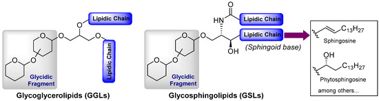 Chemistry and Biology of Bioactive Glycolipids of Marine Origin