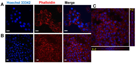 Marine Drugs | Free Full-Text | Trichormus variabilis (Cyanobacteria ...